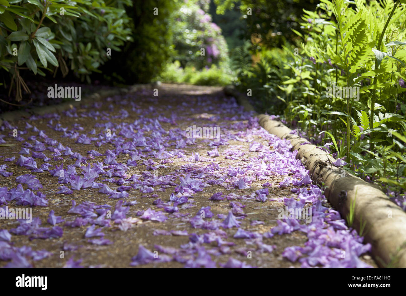 Woolbeding Gardens, West Sussex. Woolbeding is a modern masterpiece ...
