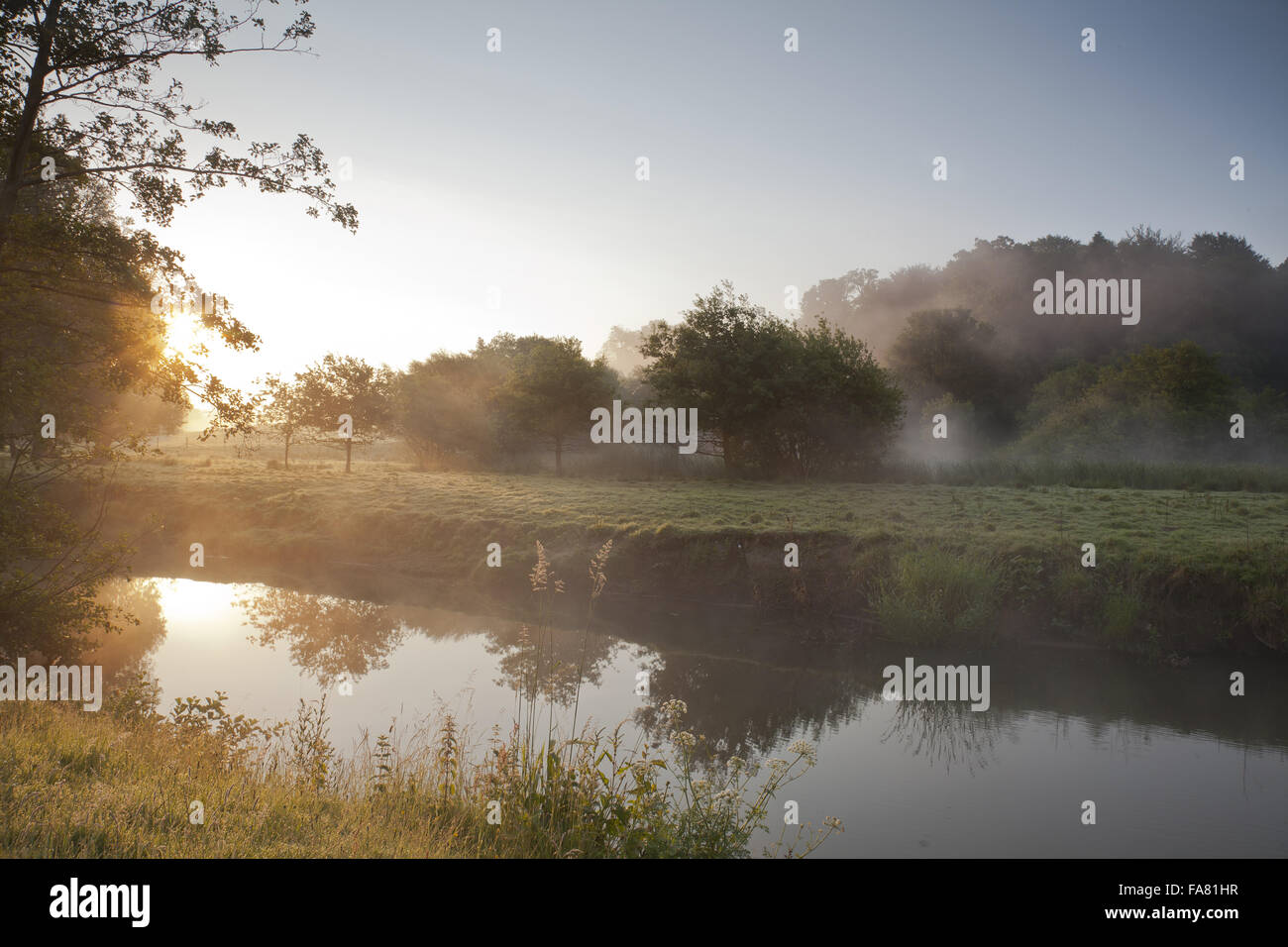 Woolbeding Gardens, West Sussex. Woolbeding is a modern masterpiece ...