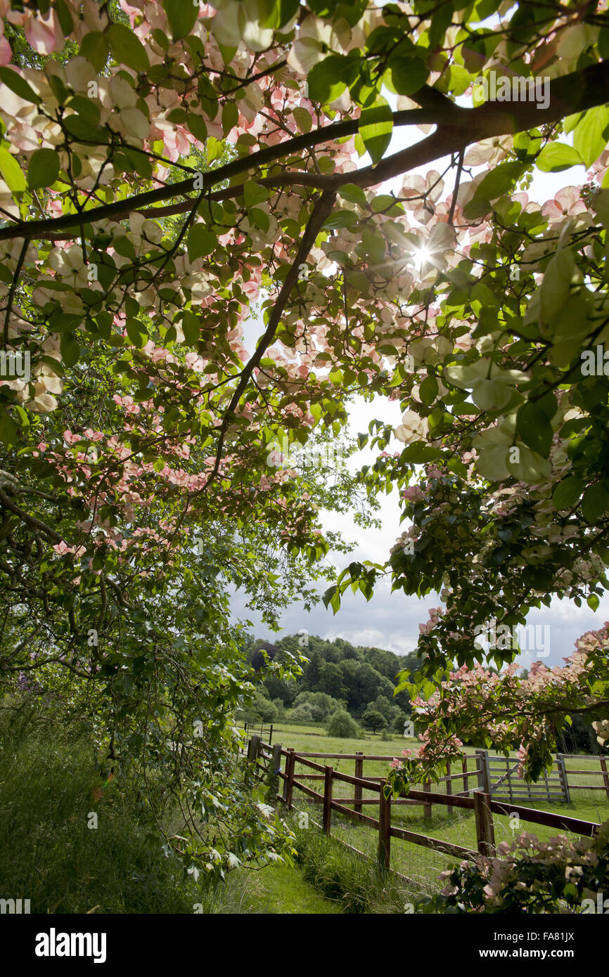 Woolbeding Gardens, West Sussex. Woolbeding is a modern masterpiece ...