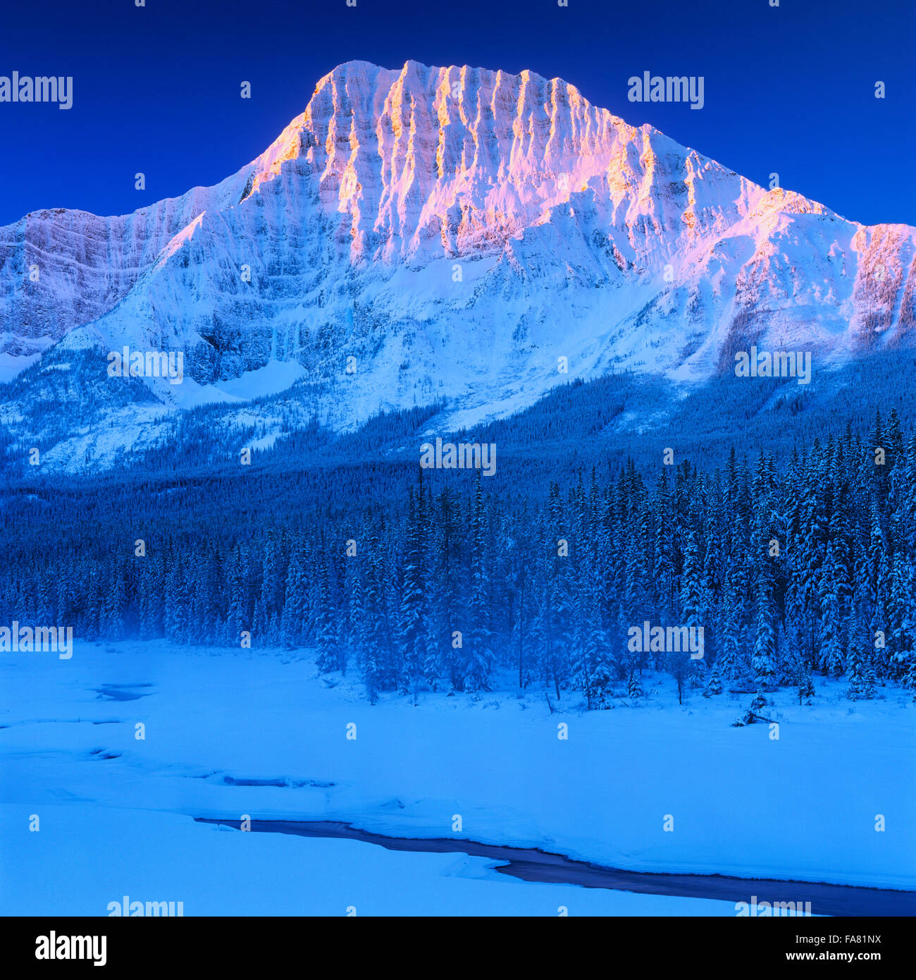 Mountain Range in winter in Jasper National Park Stock Photo - Alamy