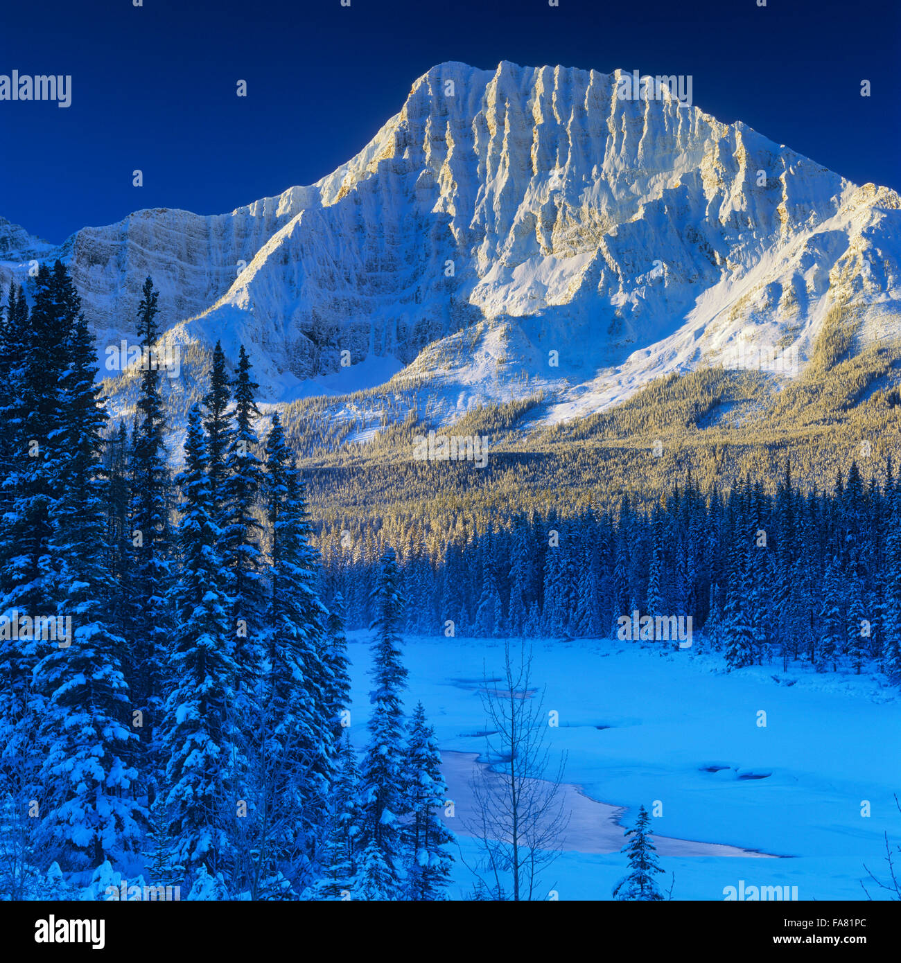 Mountain Range in winter in Jasper National Park Stock Photo - Alamy