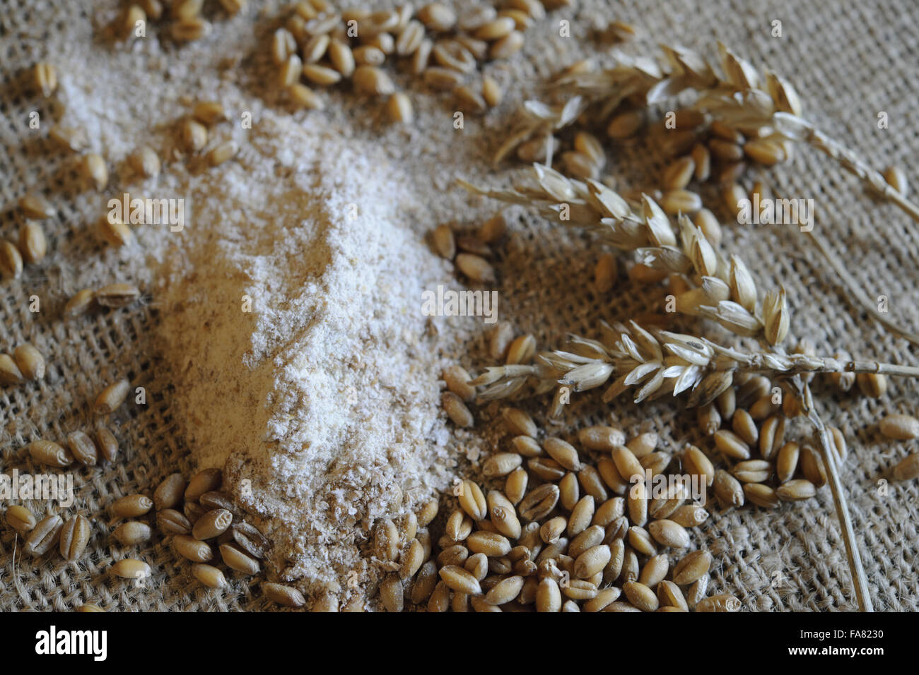 Variety nt hi-res stock photography and images - Alamy
