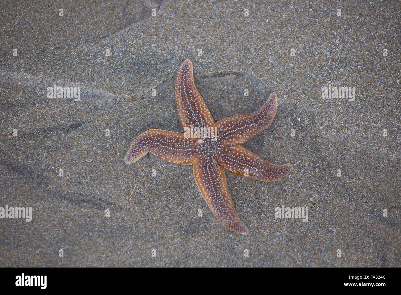 Birlinggapgallery hi-res stock photography and images - Alamy