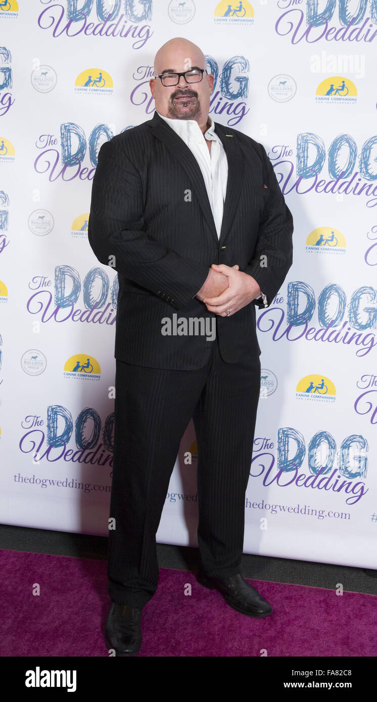 New York premiere of 'The Dog Wedding' - Arrivals Featuring: Matthew ...