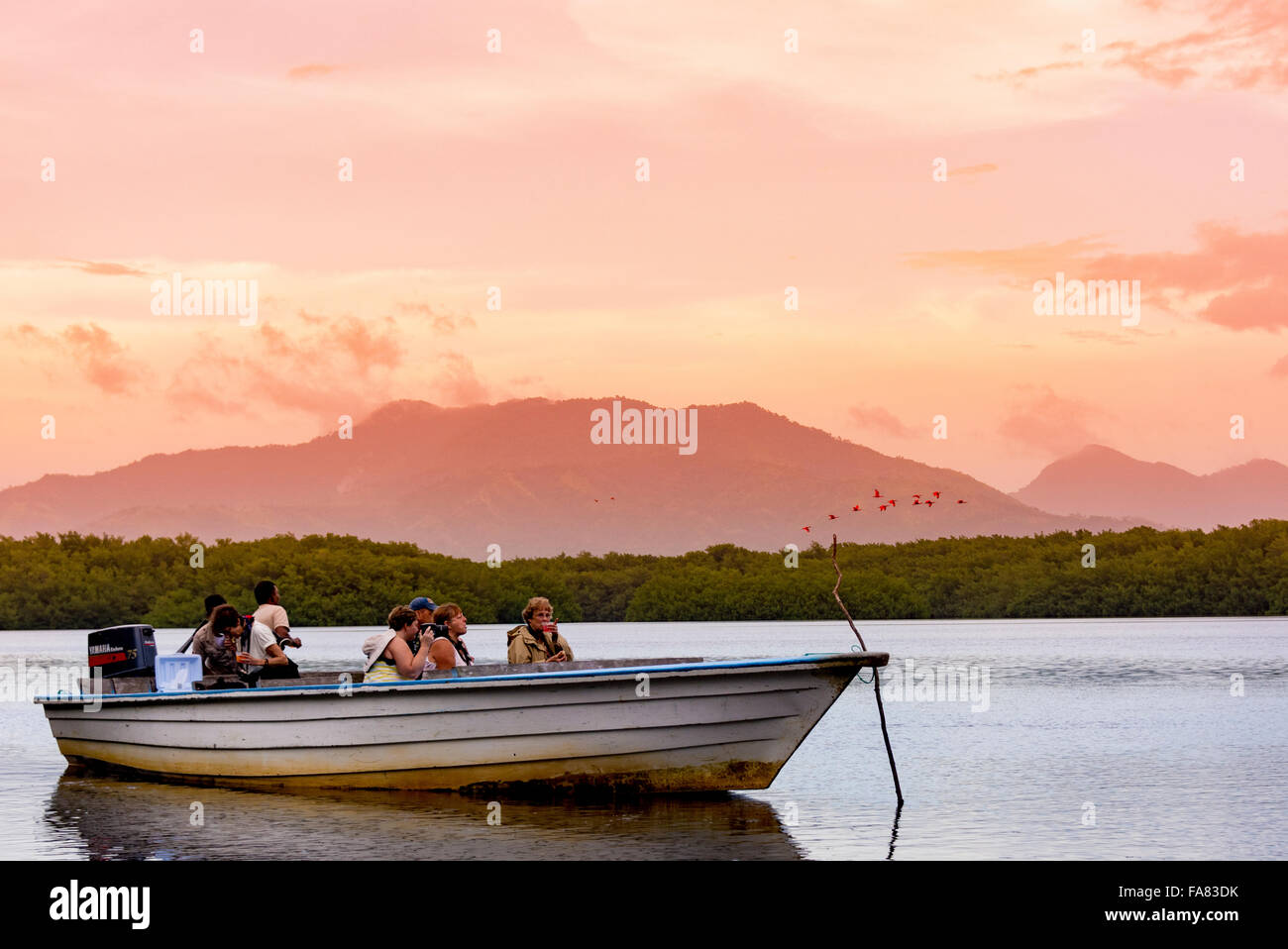 A boat tour through the Caroni Swamp Trinidad Stock Photo - Alamy
