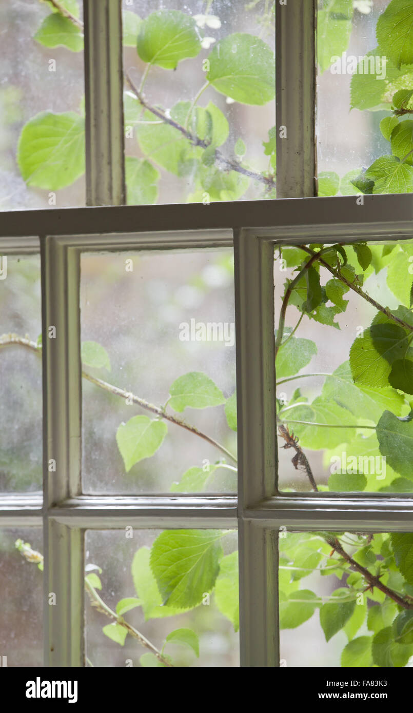 The inside of a window at Max Gate, Dorset. The writer Thomas Hardy ...