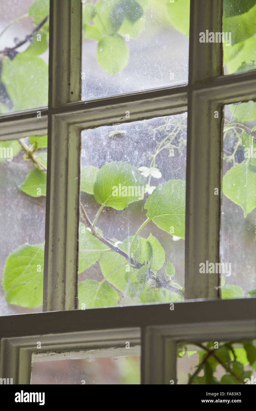 The inside of a window at Max Gate, Dorset. The writer Thomas Hardy ...