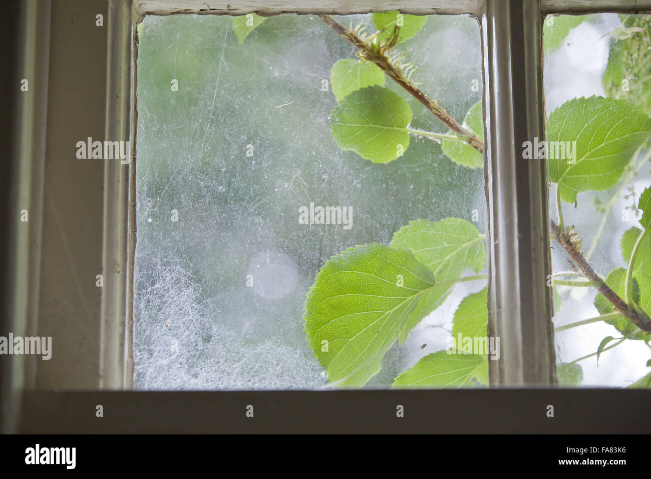 The inside of a window at Max Gate, Dorset. The writer Thomas Hardy ...