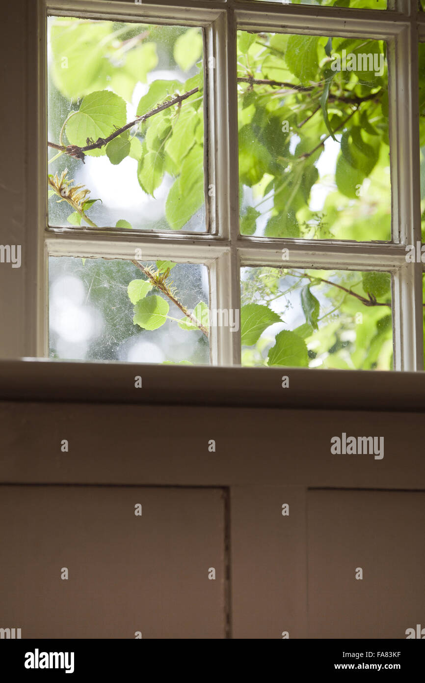 Thomas hardy max gate hi-res stock photography and images - Alamy