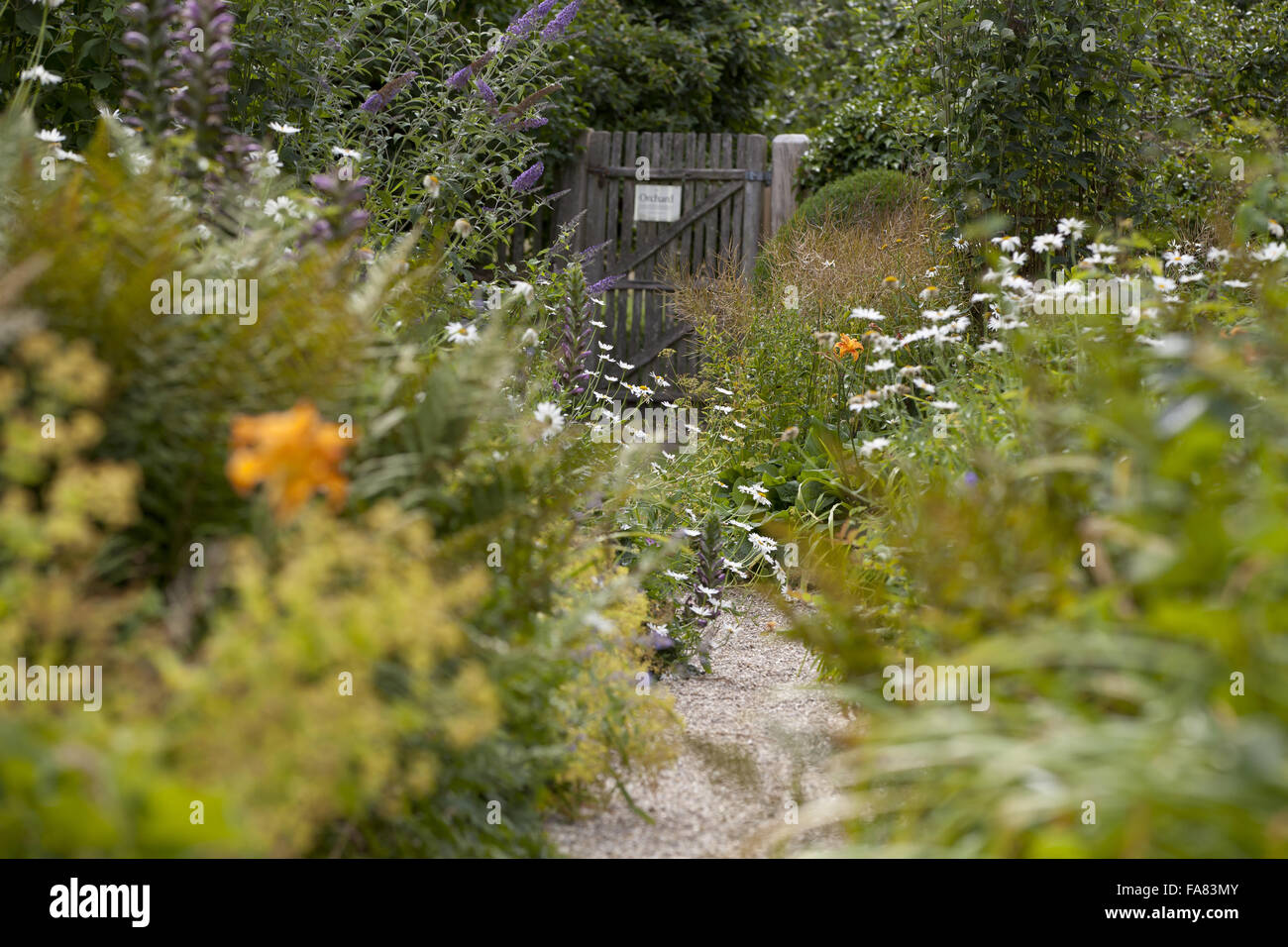 A path down to a gate in the garden at Hardy's Birthplace, Dorset. The ...