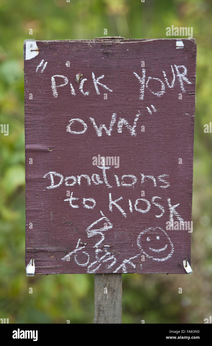 Pyo sign hi-res stock photography and images - Alamy