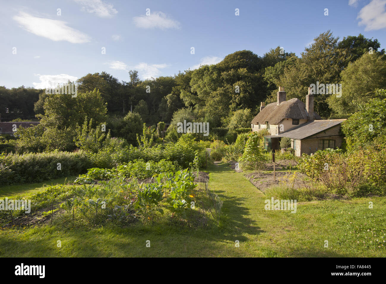 Thomas hardy’s cottage hi-res stock photography and images - Alamy