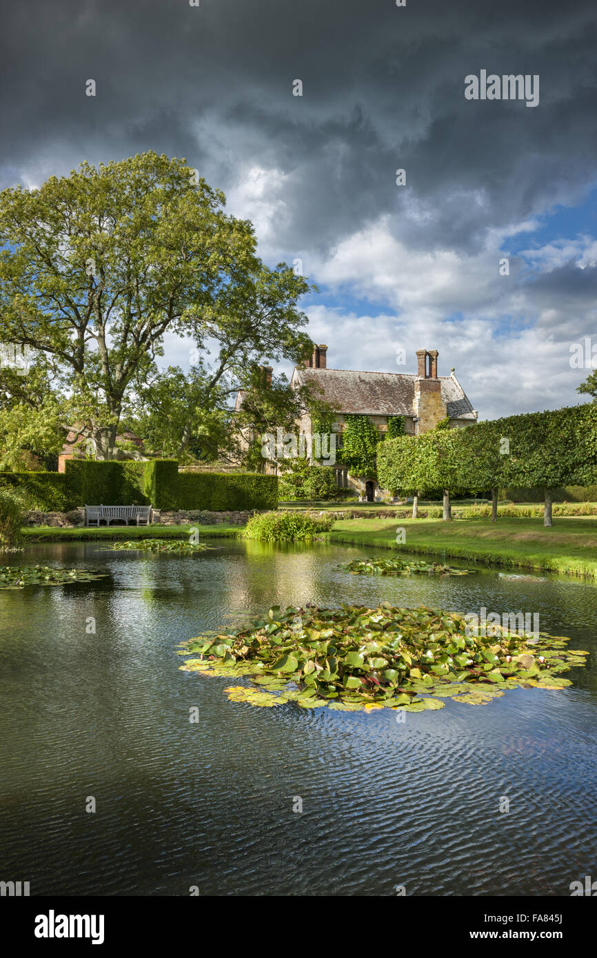 Jacobean lily hi-res stock photography and images - Alamy