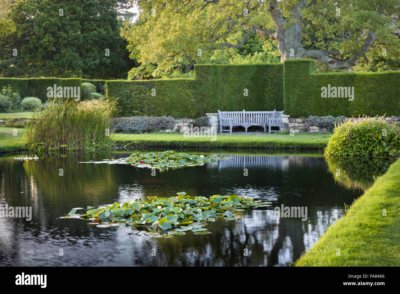 The lily pond at Bateman's, East Sussex. Bateman's was the home of the ...