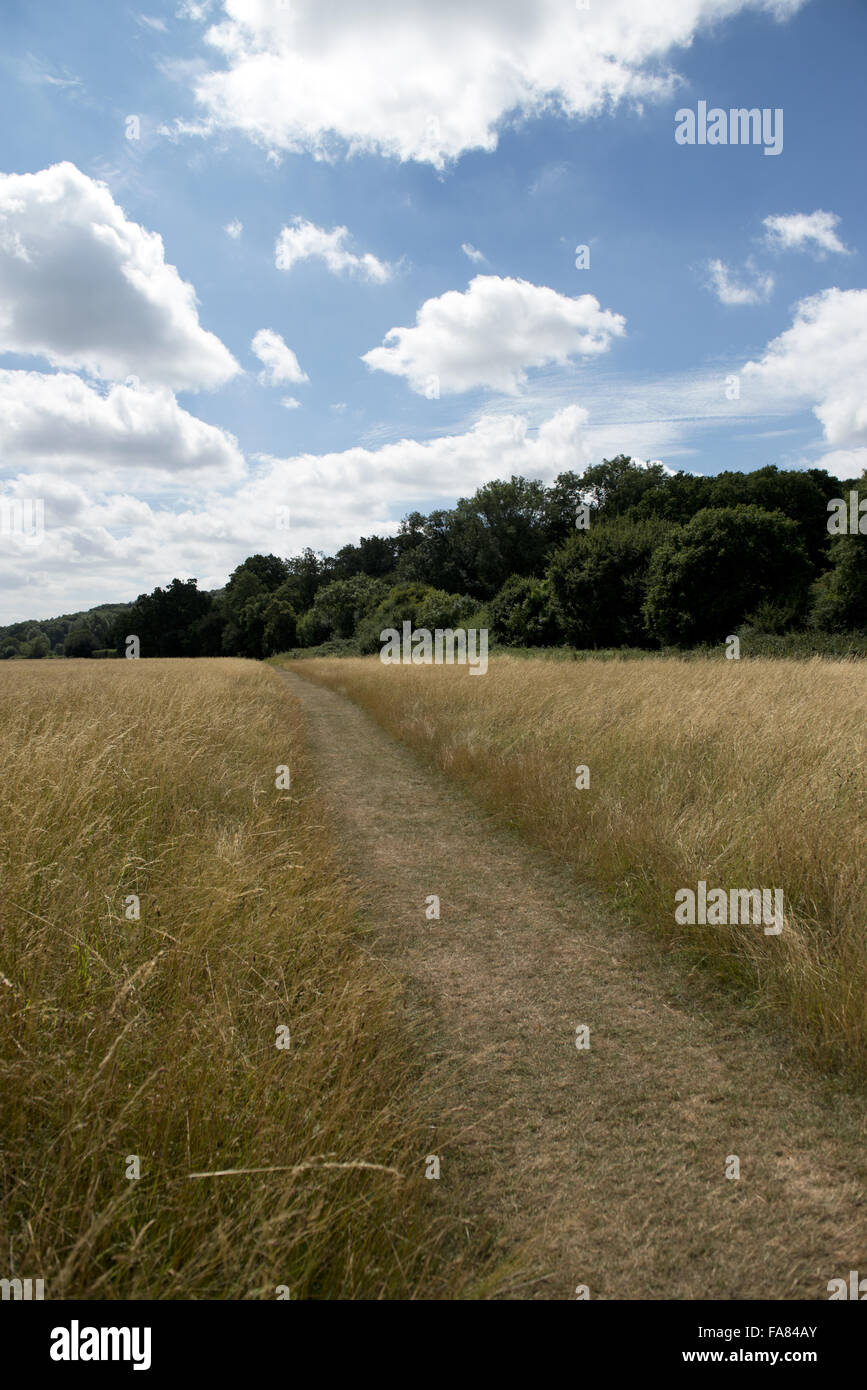 Mown path through meadow hi-res stock photography and images - Alamy