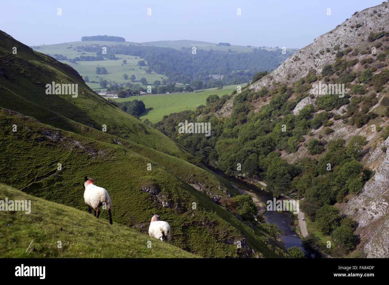 The River Dove carves its way through Dovedale at Thorpe Cloud, within ...