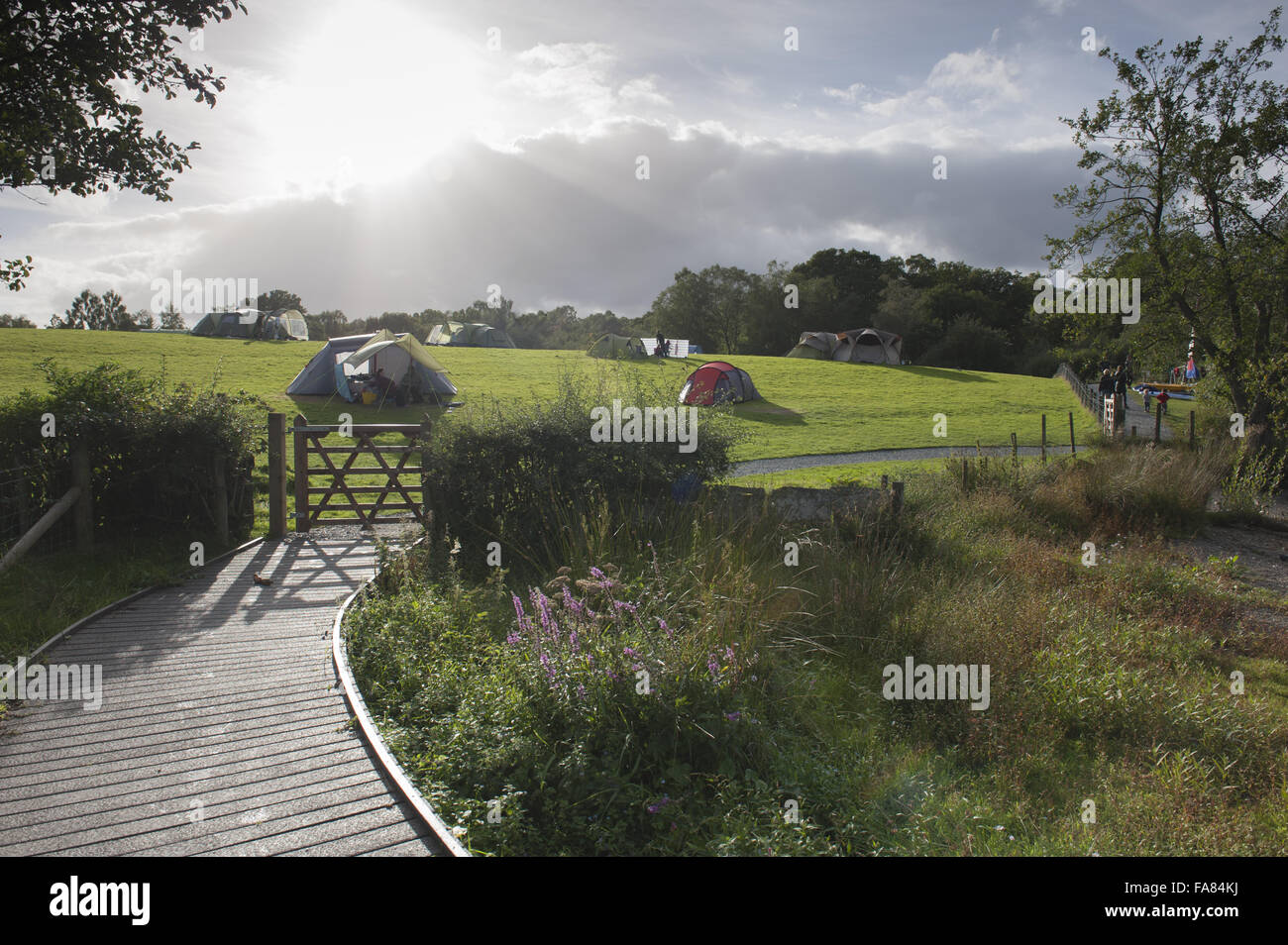 Low Wray Campsite, Cumbria. The campsite lies on the quiet western ...