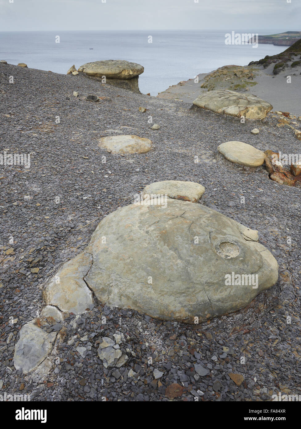 The disused Loftus Alum Works, North Yorkshire. The alum works were in ...