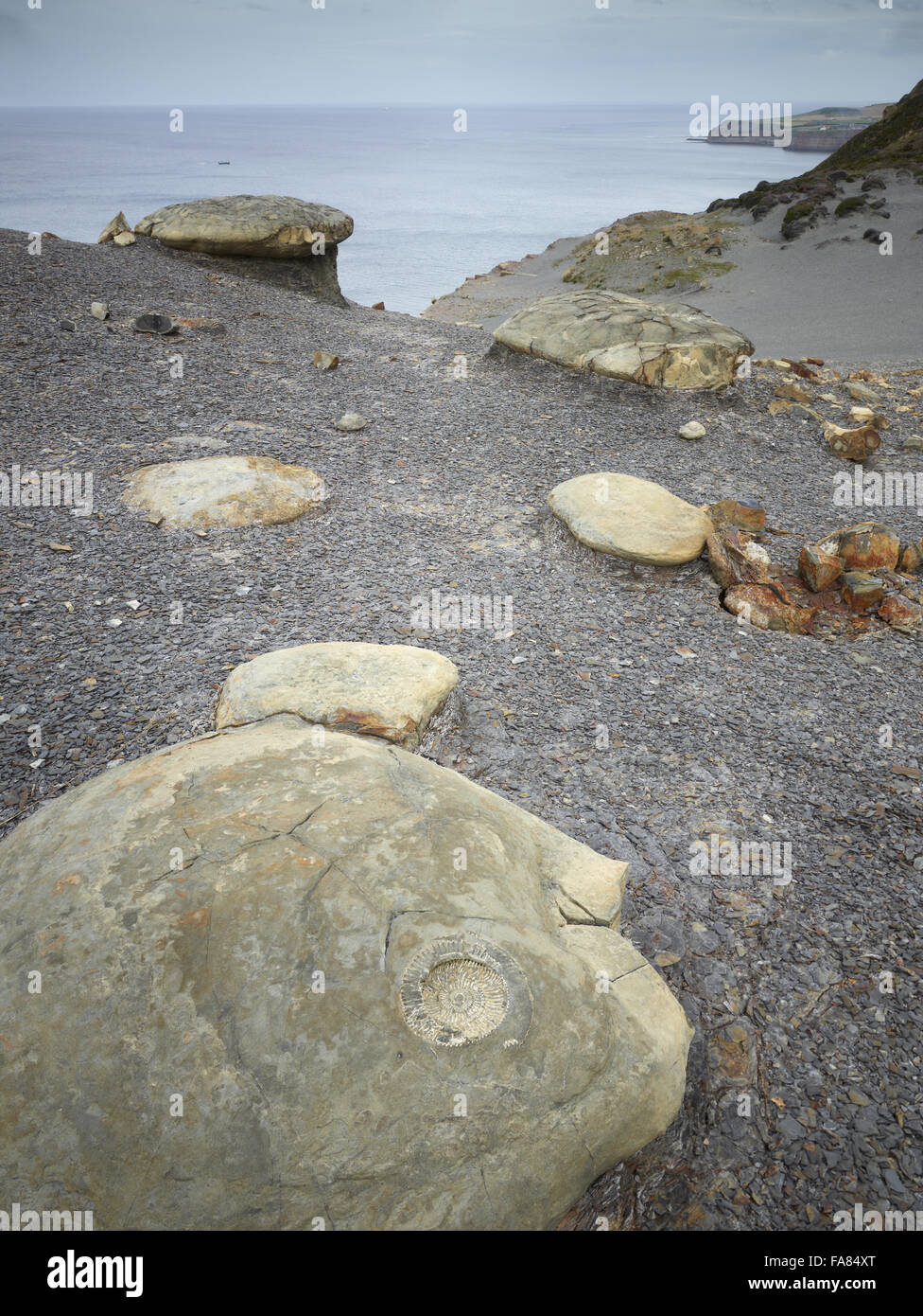 The disused Loftus Alum Works, North Yorkshire. The alum works were in ...