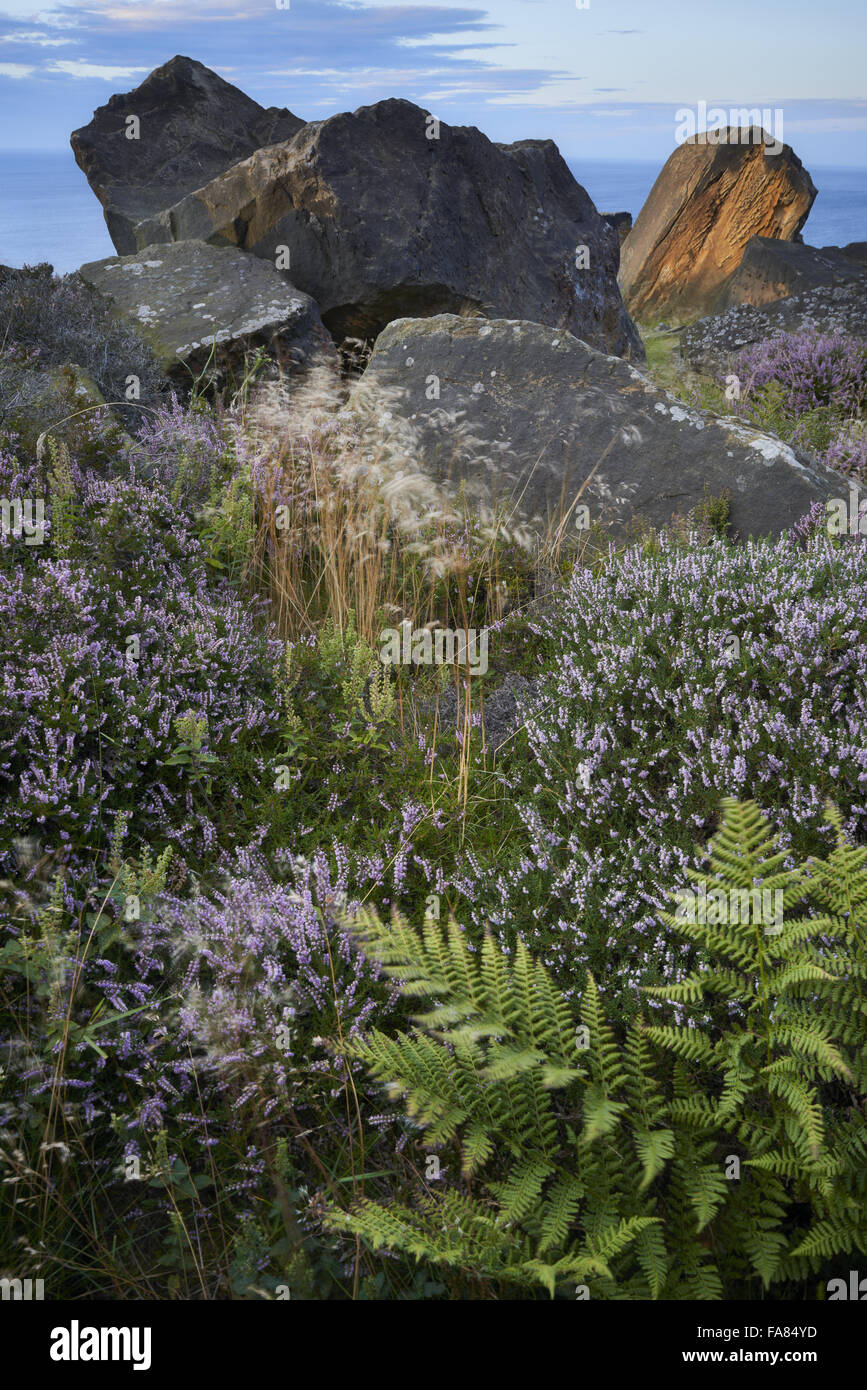 The disused Loftus Alum Works, North Yorkshire. The alum works were in ...