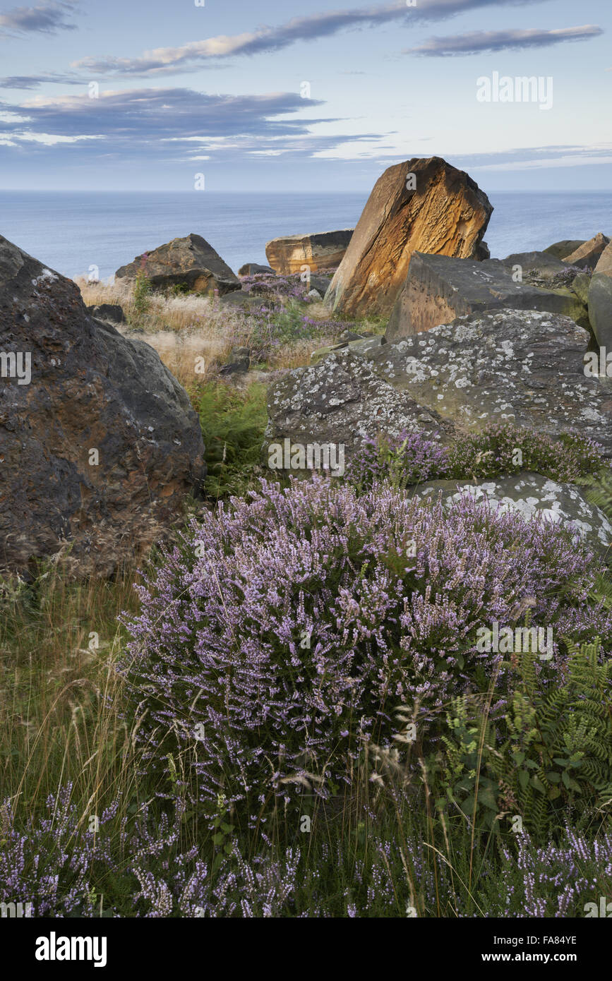 Loftus north yorkshire hi-res stock photography and images - Alamy