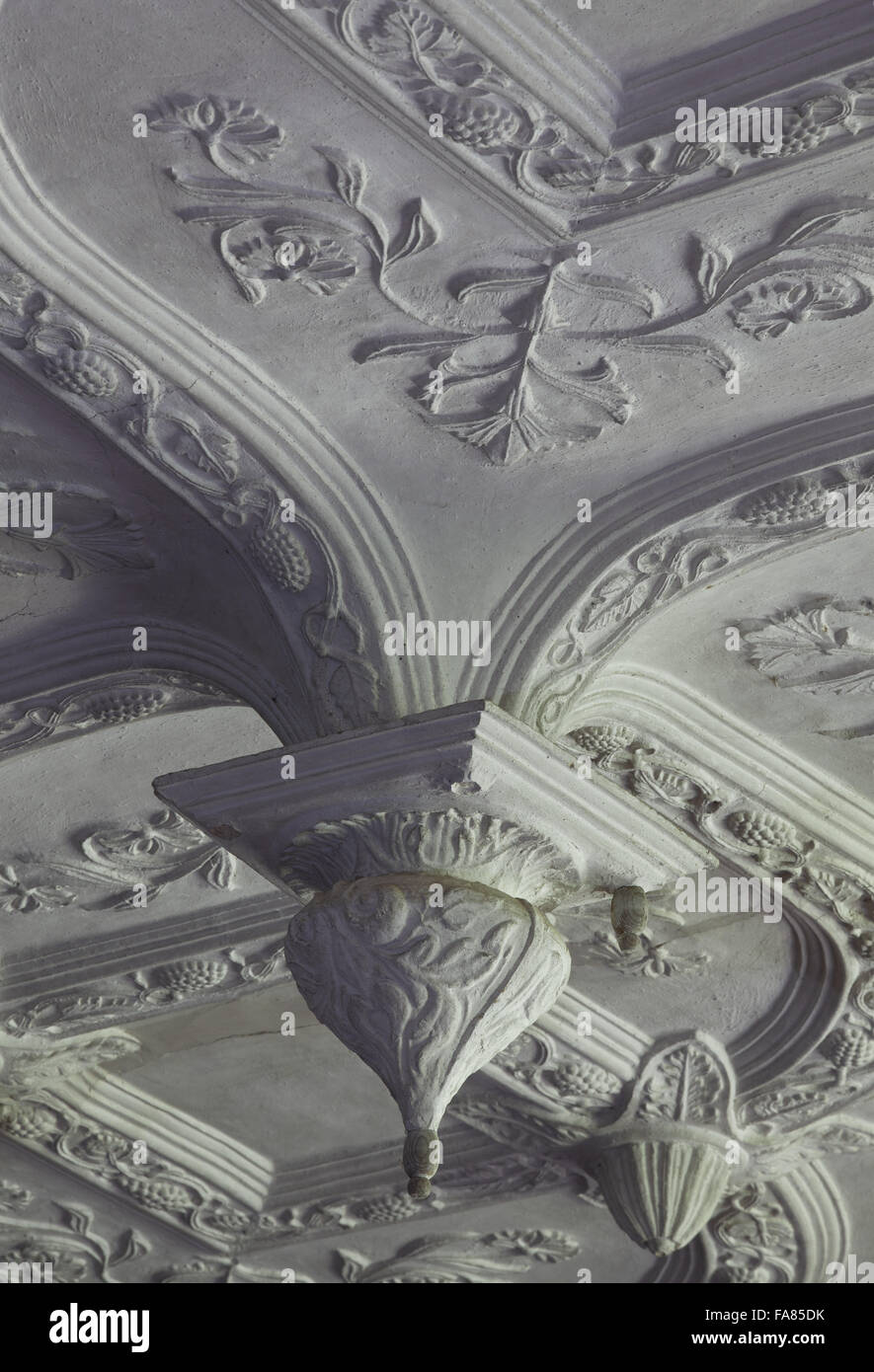 Detail of the ceiling in the Great Chamber at Chastleton House ...