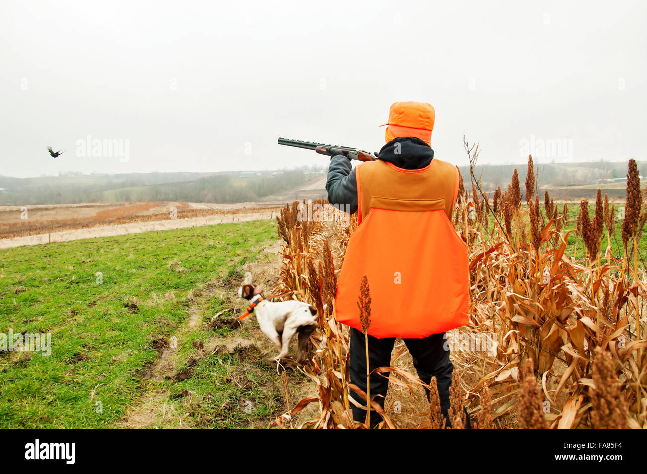 Boy bird hunt hi-res stock photography and images - Alamy