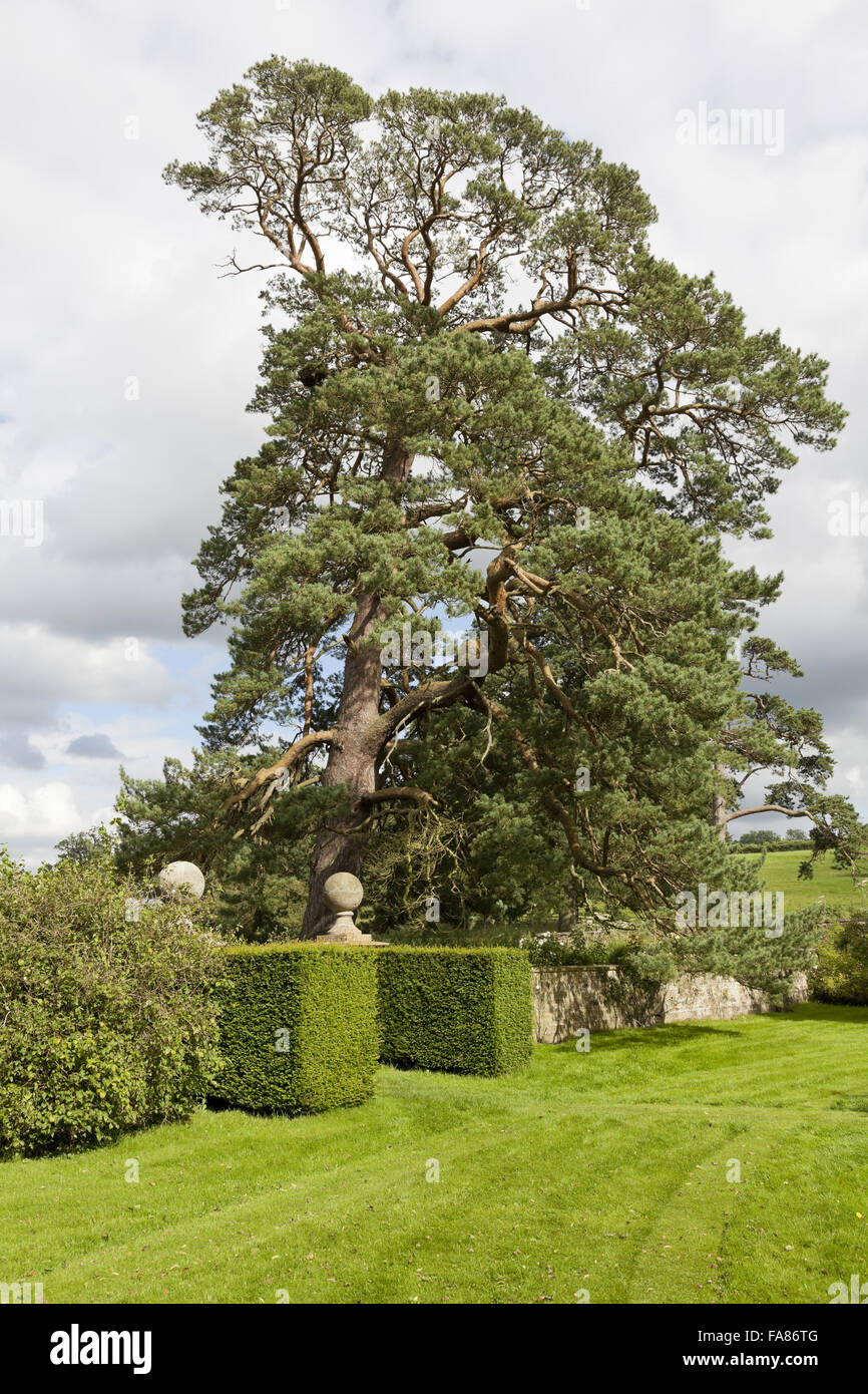 Scots gate hi-res stock photography and images - Alamy
