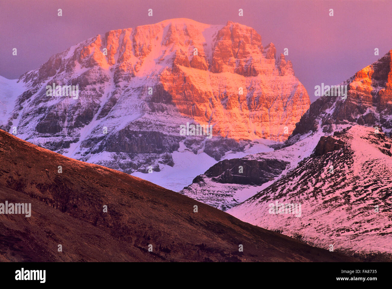 Snow covered mountain in the Columbia Icefields in Jasper National Park ...