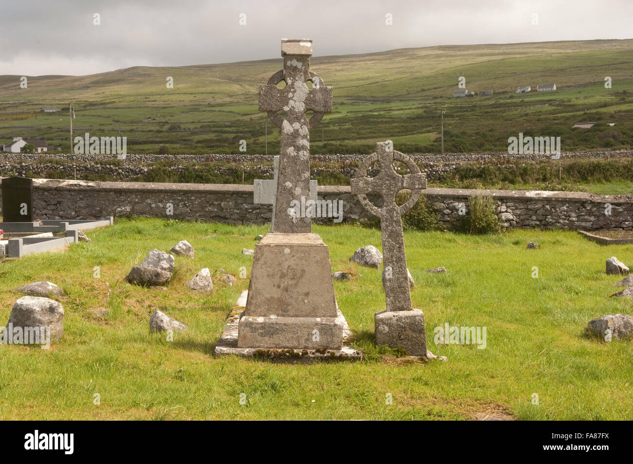 Burren tree hi-res stock photography and images - Alamy