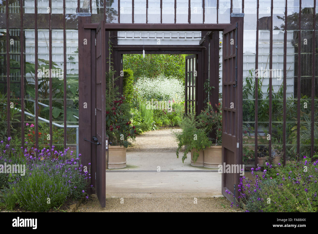 Crambe cordifolia hi-res stock photography and images - Alamy