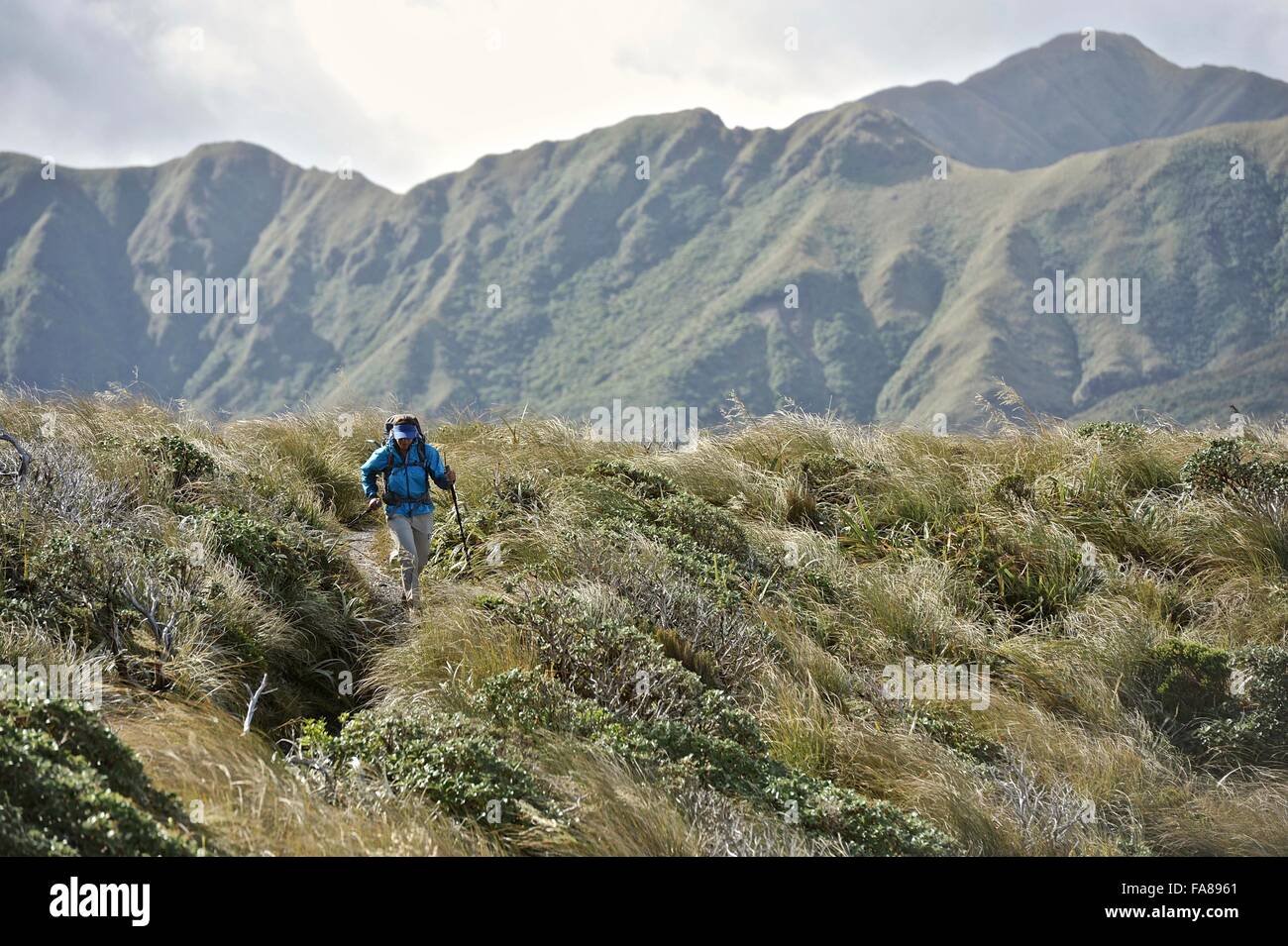 Tararua mountains hi-res stock photography and images - Alamy