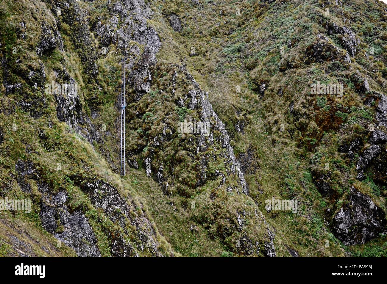 Distant view of female hiker climbing up mountain ladder, Tararua Ridge ...