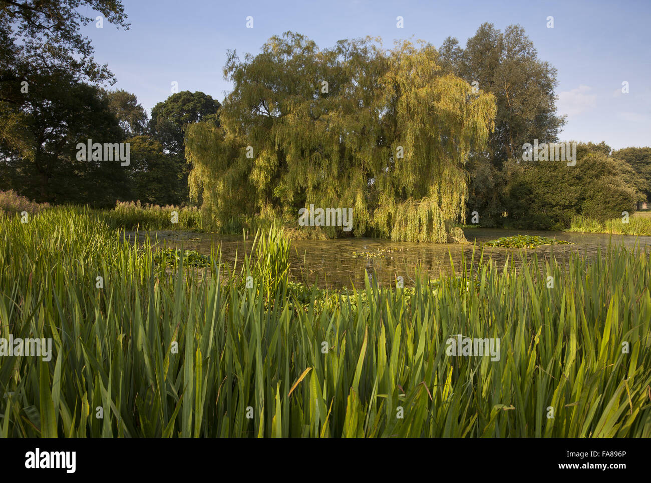 Killertongallery High Resolution Stock Photography and Images - Alamy
