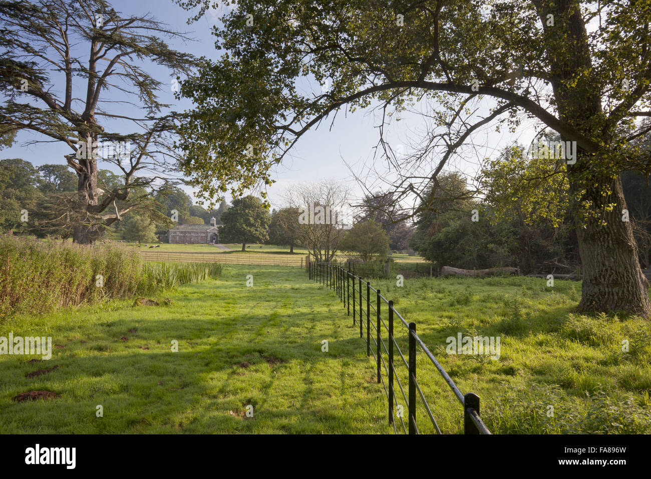 The park at Killerton, Devon, in August Stock Photo - Alamy