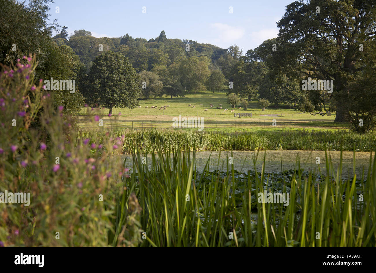 Killertongallery High Resolution Stock Photography and Images - Alamy