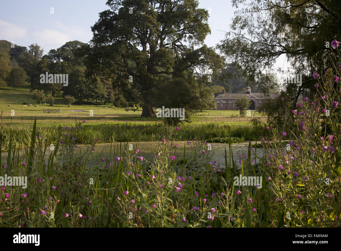 Killertongallery hi-res stock photography and images - Alamy