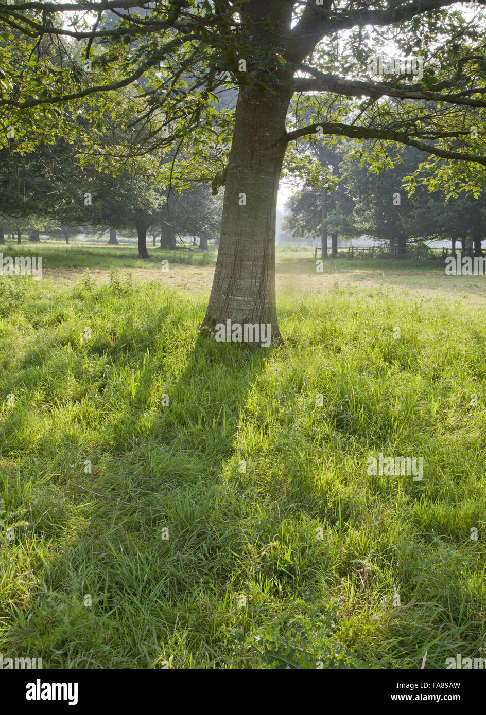 Killertongallery hi-res stock photography and images - Alamy