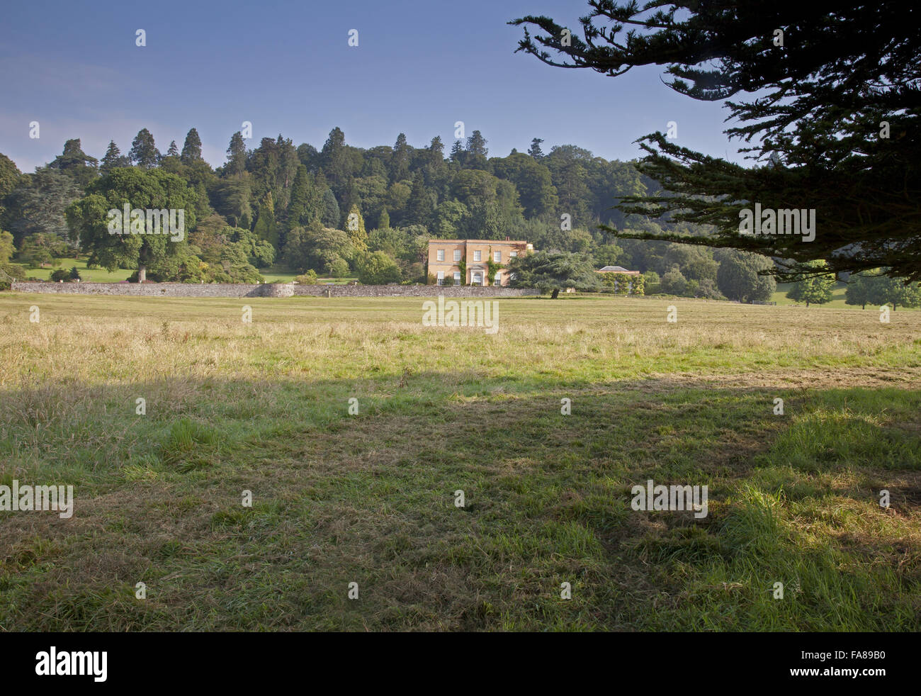 Killertongallery hi-res stock photography and images - Alamy