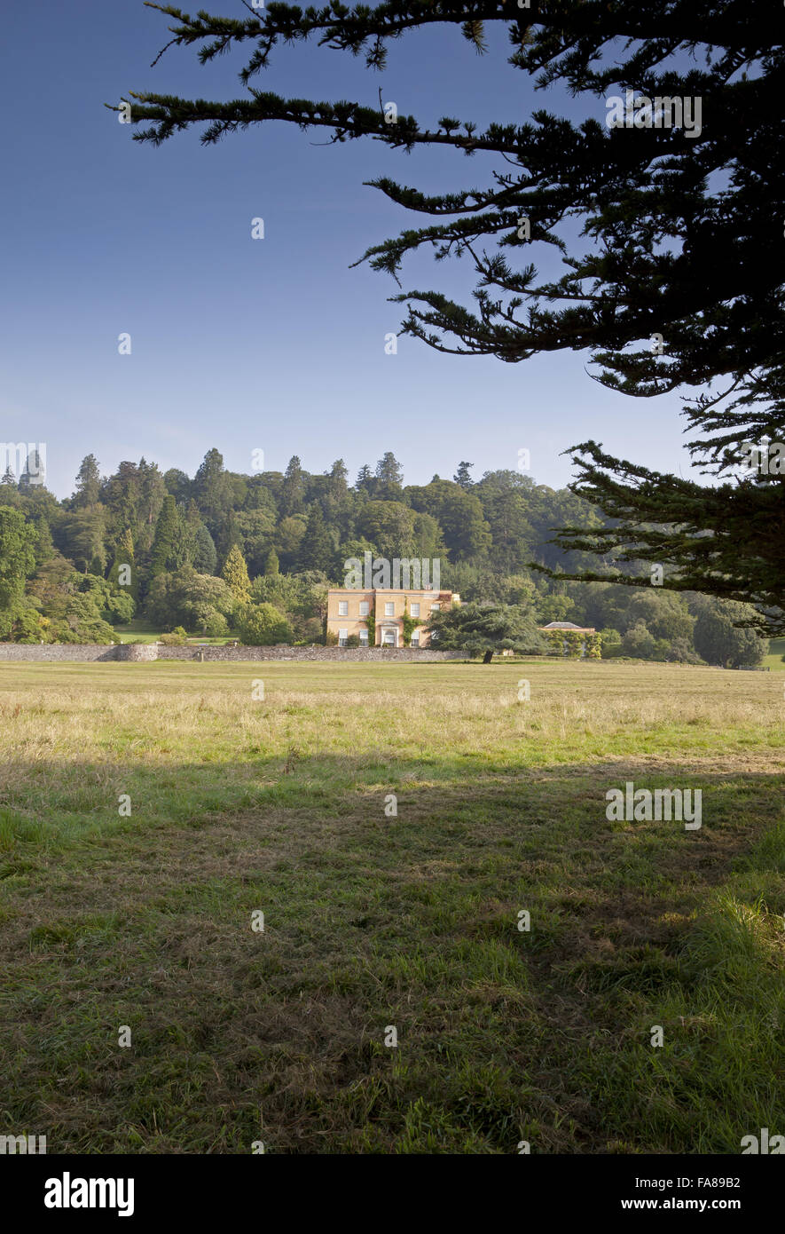 Killertongallery hi-res stock photography and images - Alamy