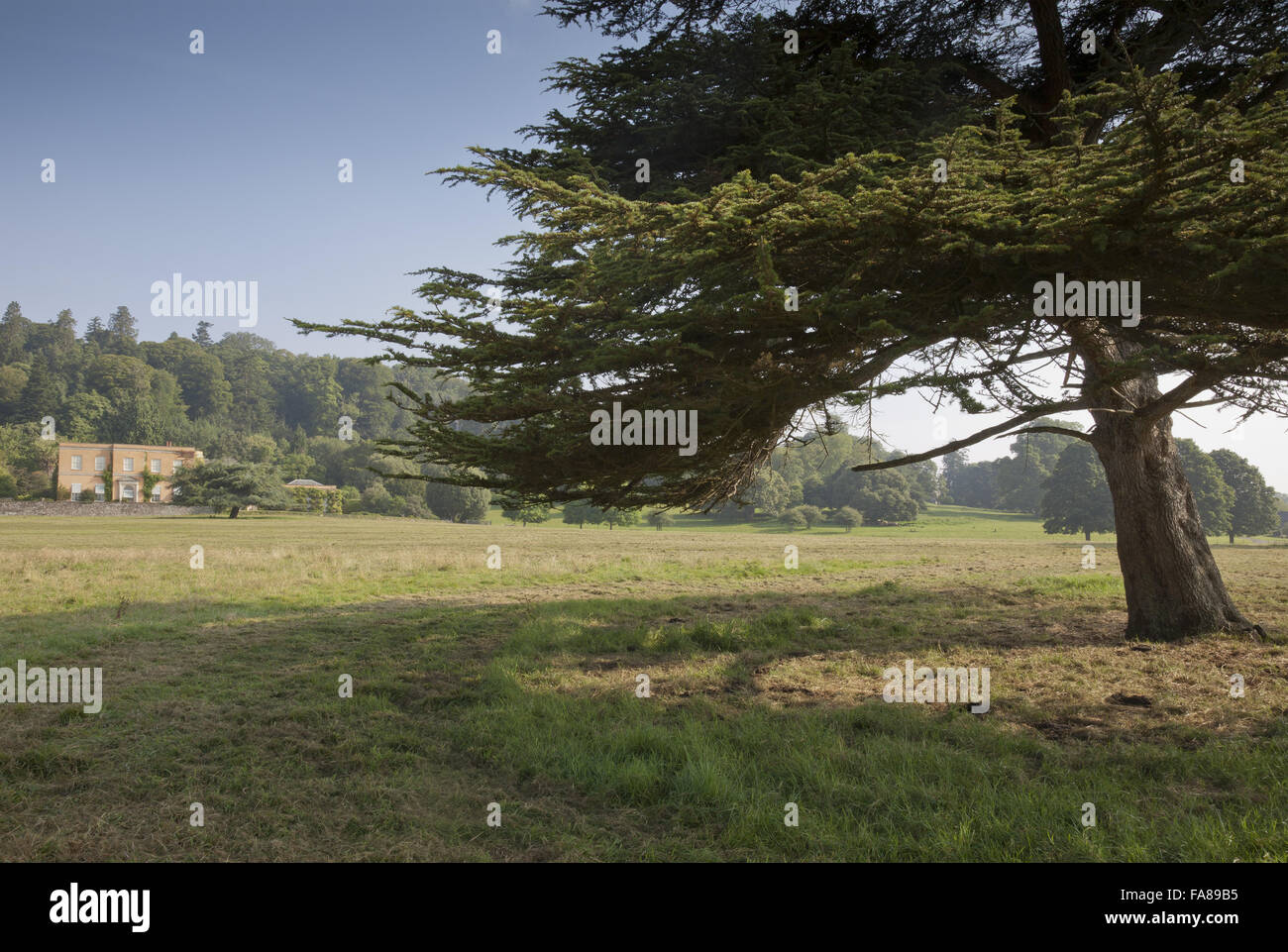 Killertongallery hi-res stock photography and images - Alamy