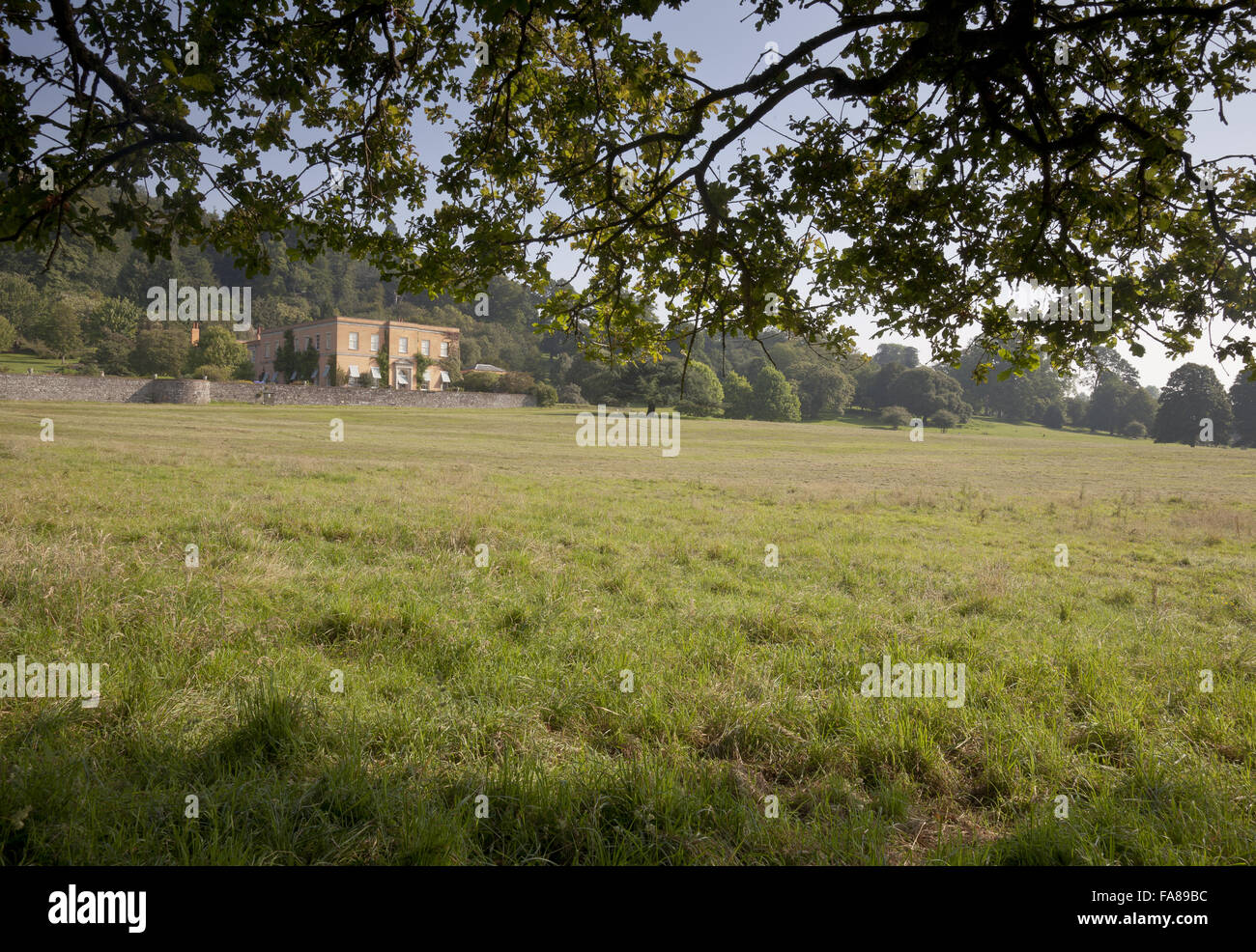 A view over the park to the house at Killerton, Devon, in August Stock ...