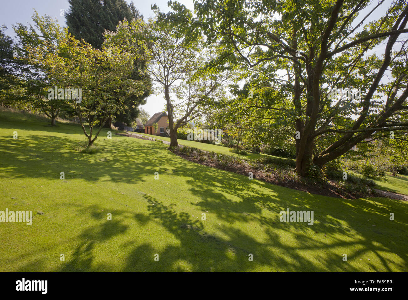 Killertongallery hi-res stock photography and images - Alamy