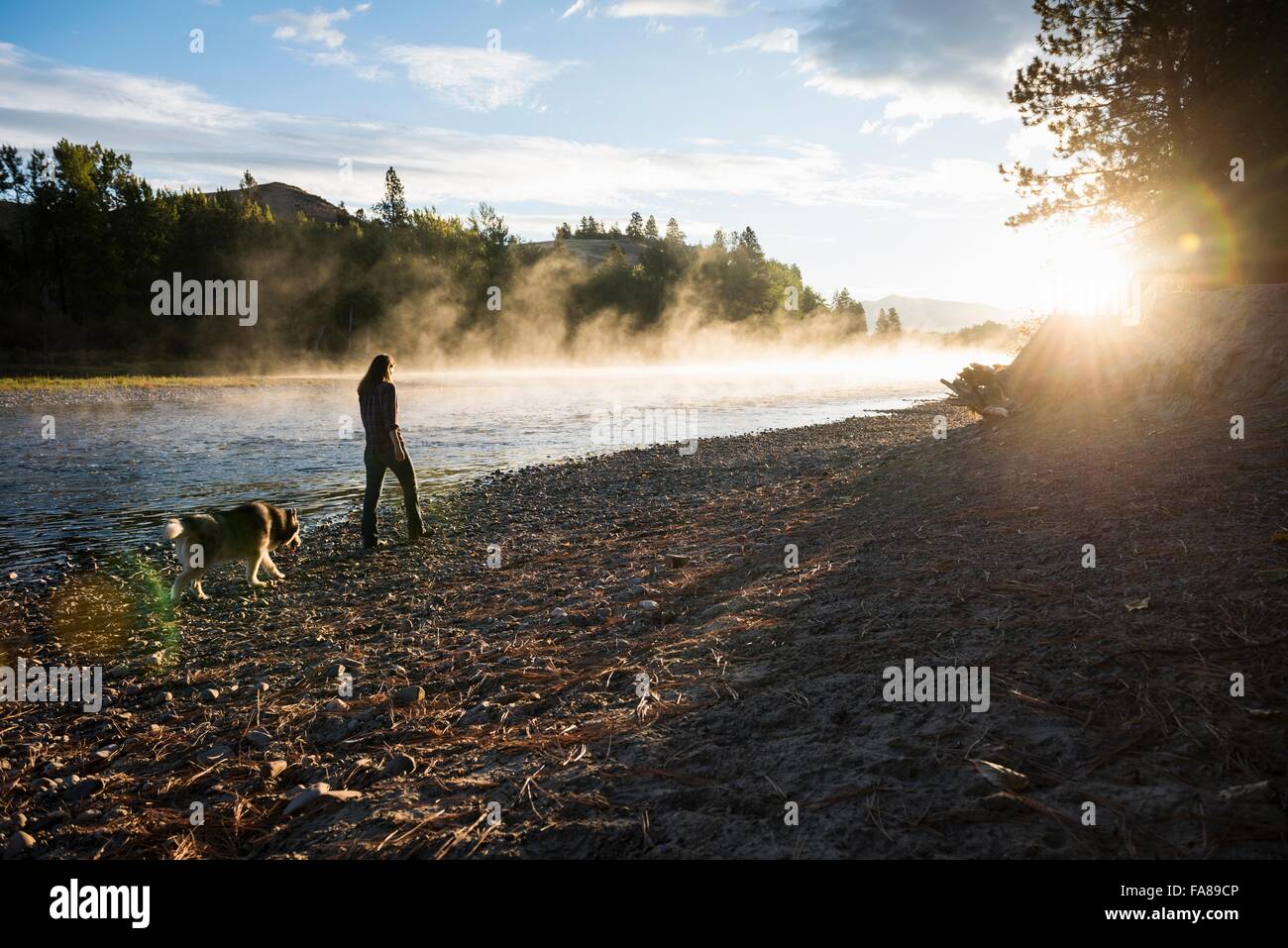 Woman walking dog on bank of Bitterroot River, Missoula, Montana, USA ...