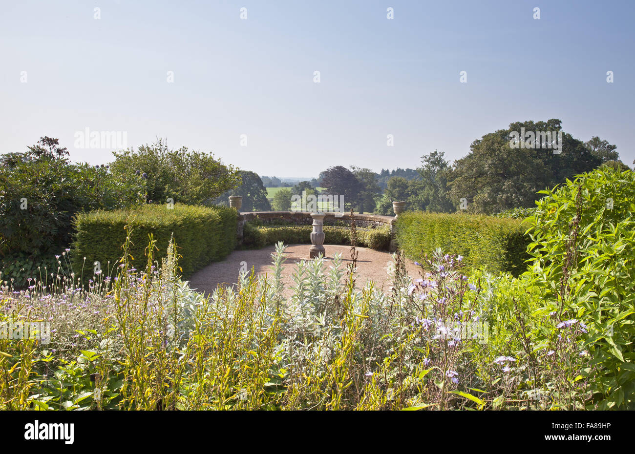 The garden at Killerton, Devon, in August Stock Photo - Alamy