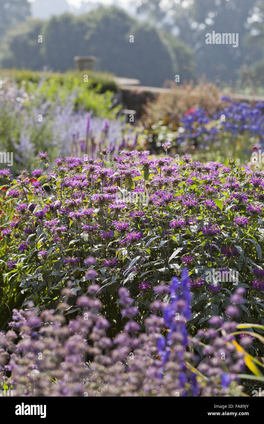 Killertongallery High Resolution Stock Photography and Images - Alamy