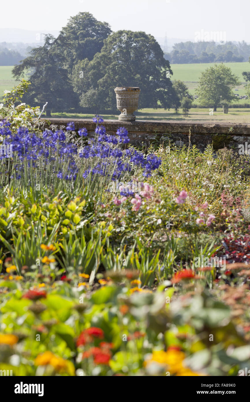 Flowers in the garden at Killerton, Devon, in August Stock Photo - Alamy