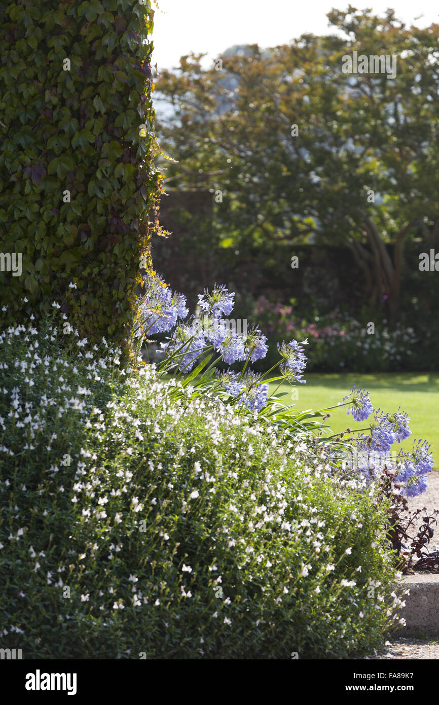 Killertongallery hi-res stock photography and images - Alamy