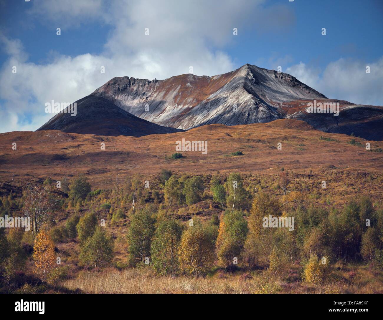 Forest area and jagged mountains, Highland, Scotland Stock Photo - Alamy