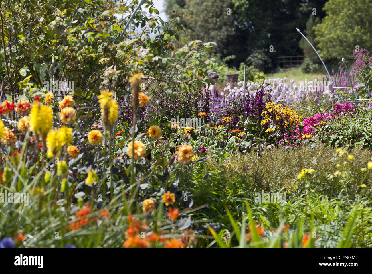 Killertongallery High Resolution Stock Photography and Images - Alamy